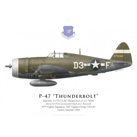 P-47D Thunderbolt, 1Lt. Marvin Rosvold, 397th Fighter Squadron, 368th ...