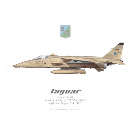 Jaguar A, EC 1/11 Roussillon, Opération Daguet, Irak, 1991, French AF