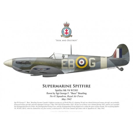 Spitfire Mk Vb, Sgt George "Buzz" Beurling, No 41 Squadron, Royal Air ...