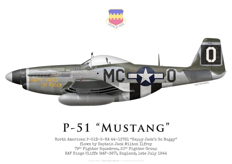P 51 Mustang Walk Around