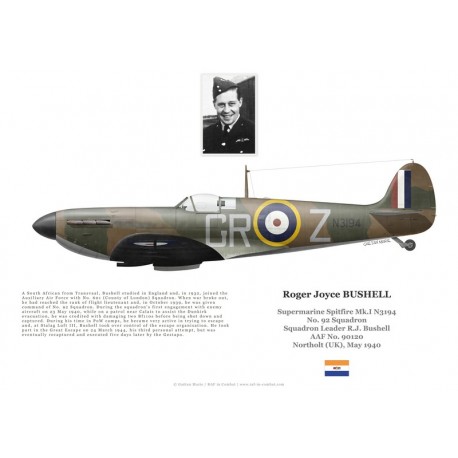 Roger Bushell, Spitfire Mk I N3194, CO No 92 Squadron RAF, 1940 - Bravo ...