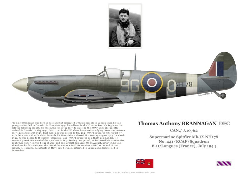 Raf No 11 Squadron