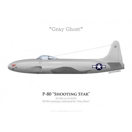Prototype Lockheed XP-80A Shooting Star "Gray Ghost" - Bravo Bravo Aviation