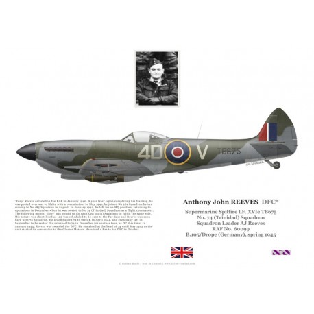 Anthony Reeves DFC, Spitfire Mk XVI TB675, No 74 Squadron RAF, 1945 ...