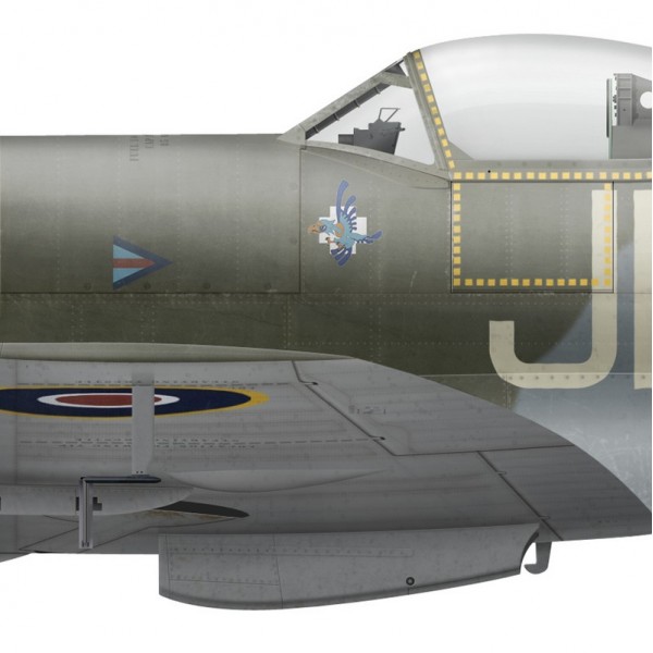 Stefan Witorzeńć DFC, Spitfire Mk XVI TE206, No 131 (Polish) Wing RAF ...