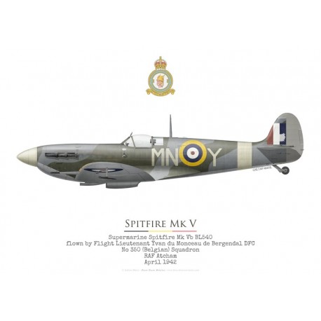 Spitfire Mk V BL540, F/L Yvan du Monceau de Bergendal, No 350 (Belgian ...