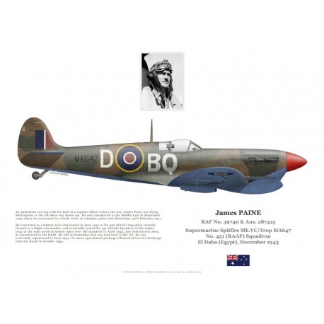 James Paine, Spitfire Mk VC MA674, No 451 Squadron RAAF, 1943 - Bravo ...