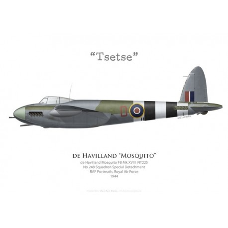 Mosquito FB Mk XVIII "Tsetse", No 248 Squadron, Royal Air Force, 1944 ...