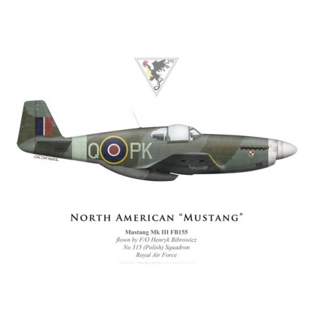 Mustang Mk III, F/O H. Bibrowicz, No 315 (Polish) Squadron, Royal Air ...
