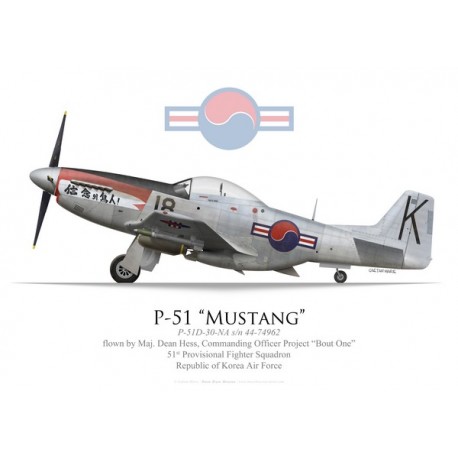 P-51D Mustang, Maj. Dean Hess, Project "Bout One", RoKAF, 1950 - Bravo ...